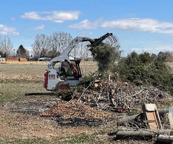 Home - Roberts And Sons Tree Service
